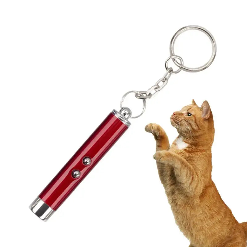 Interactive Cat Laser Pointer Toy – Durable, Portable Light for Exerci